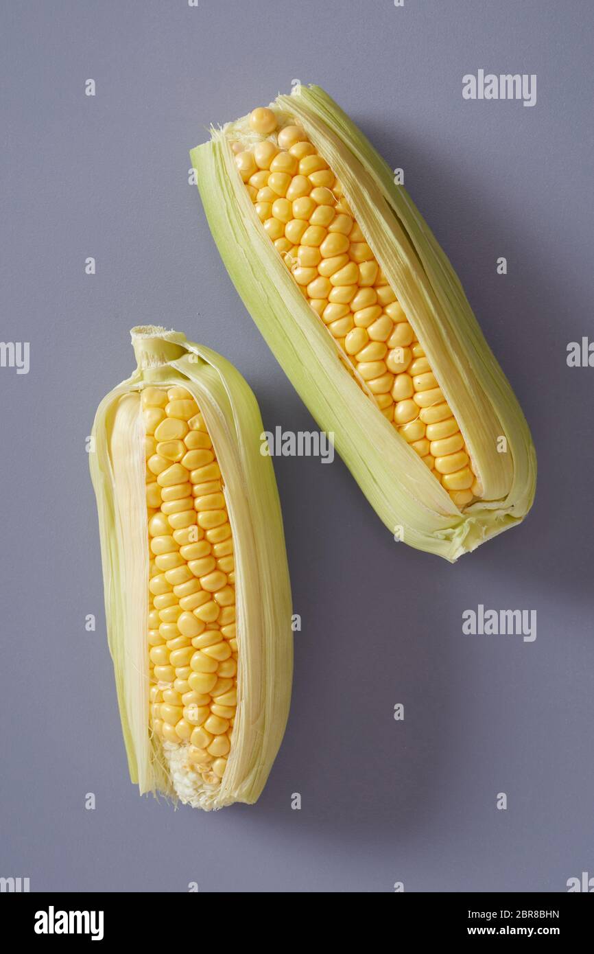 Two fresh corn on the cob, maize or sweet corn with outer leaves on a ...