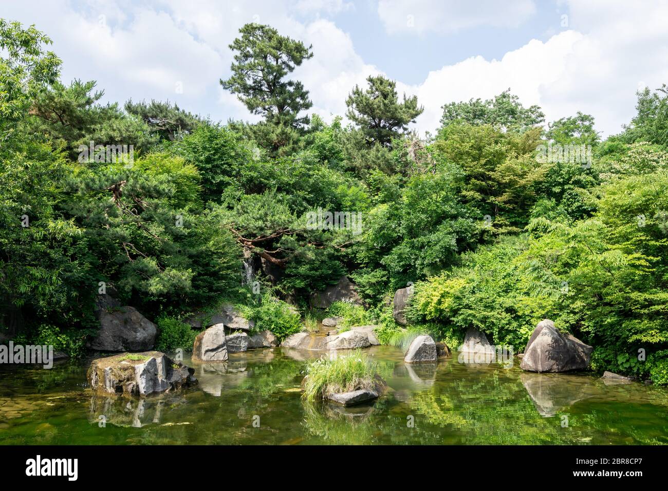 dragon falls pond area in national museum of korea in seoul, south ...