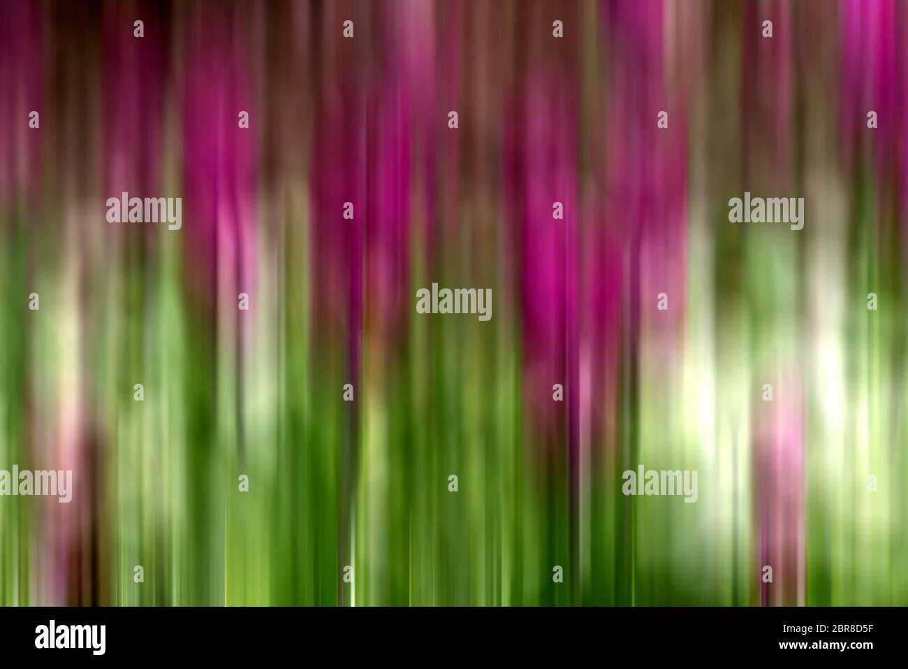 A bed of spring flowers is converted in to a colourful blur Stock Photo ...