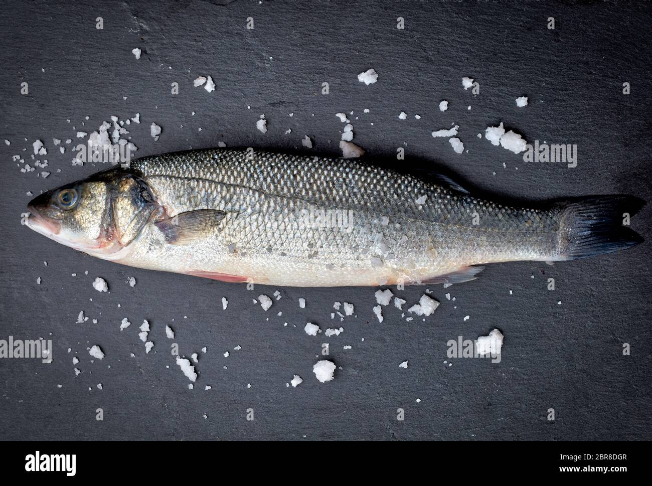 fresh whole sea bass fish with salt on black background, top view Stock ...
