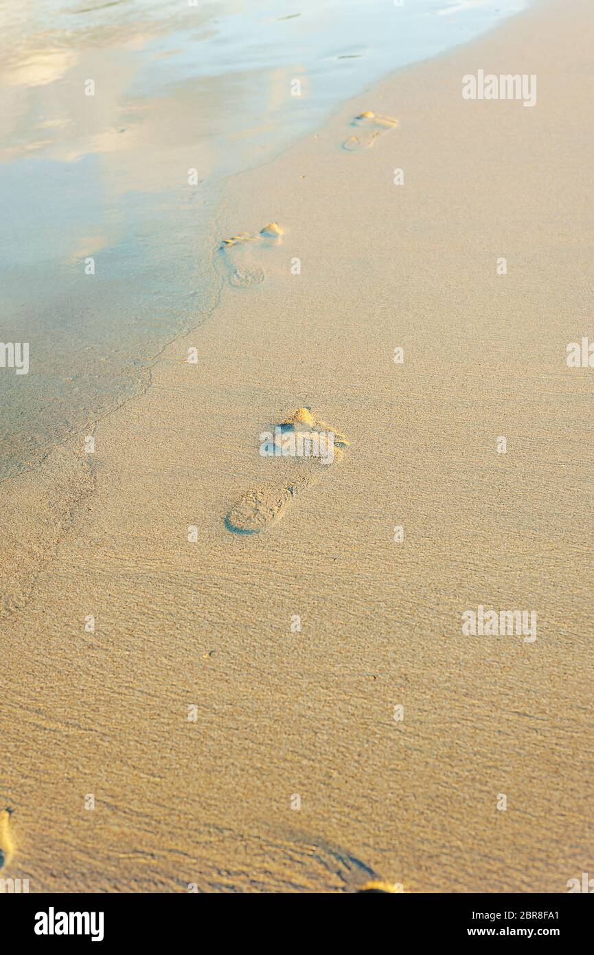 Footprint on sand beach with sunlight in the sea Stock Photo - Alamy