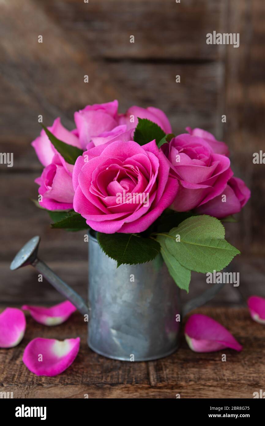 Little bunch of lush pink roses in vintage watering can Stock Photo - Alamy