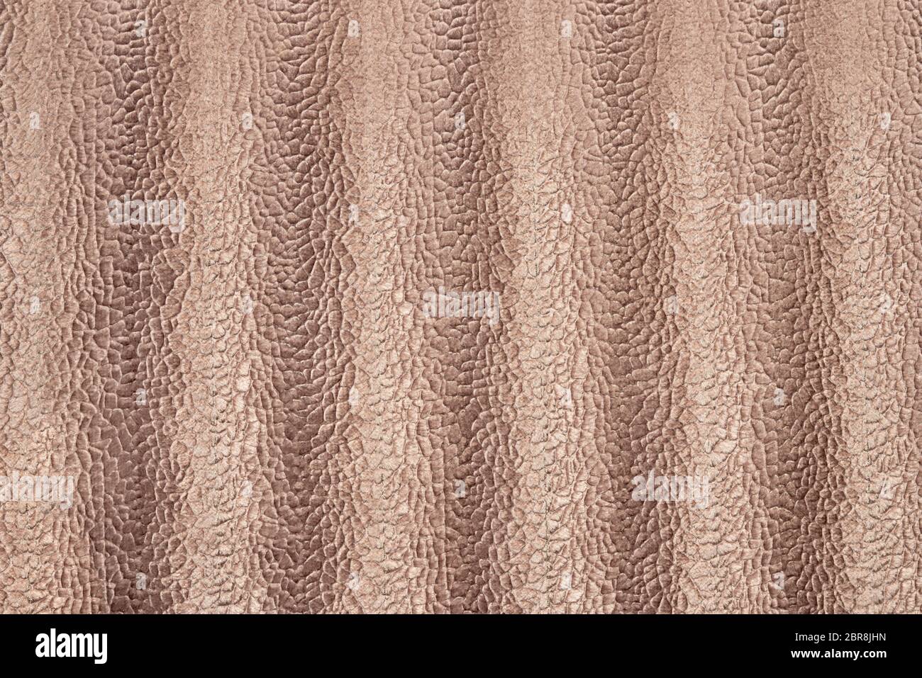 Snakeskin effect hi-res stock photography and images - Alamy