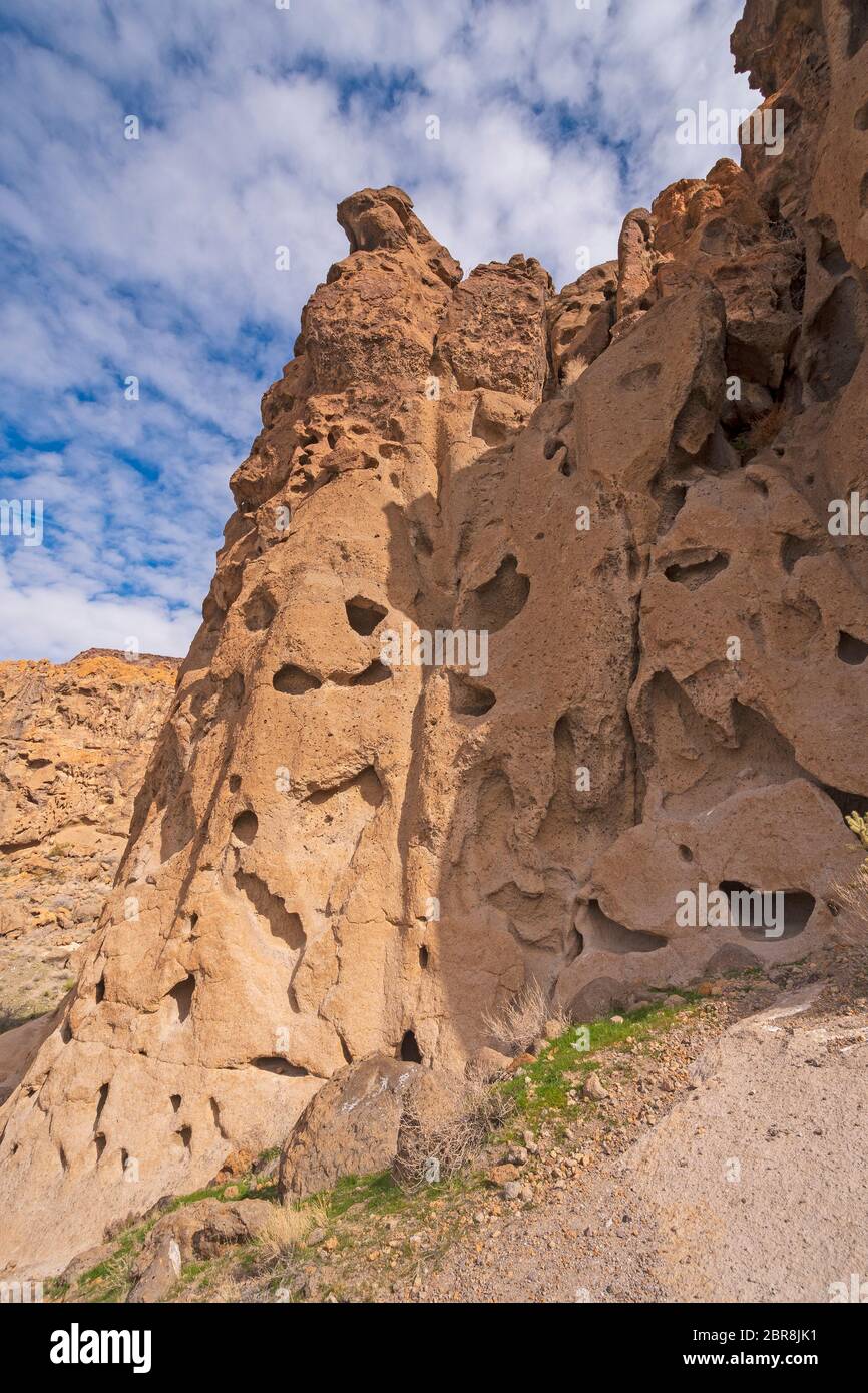 Holes in a Volcanic Tuff Cliff in Banshee Canyon in the Mojave National ...