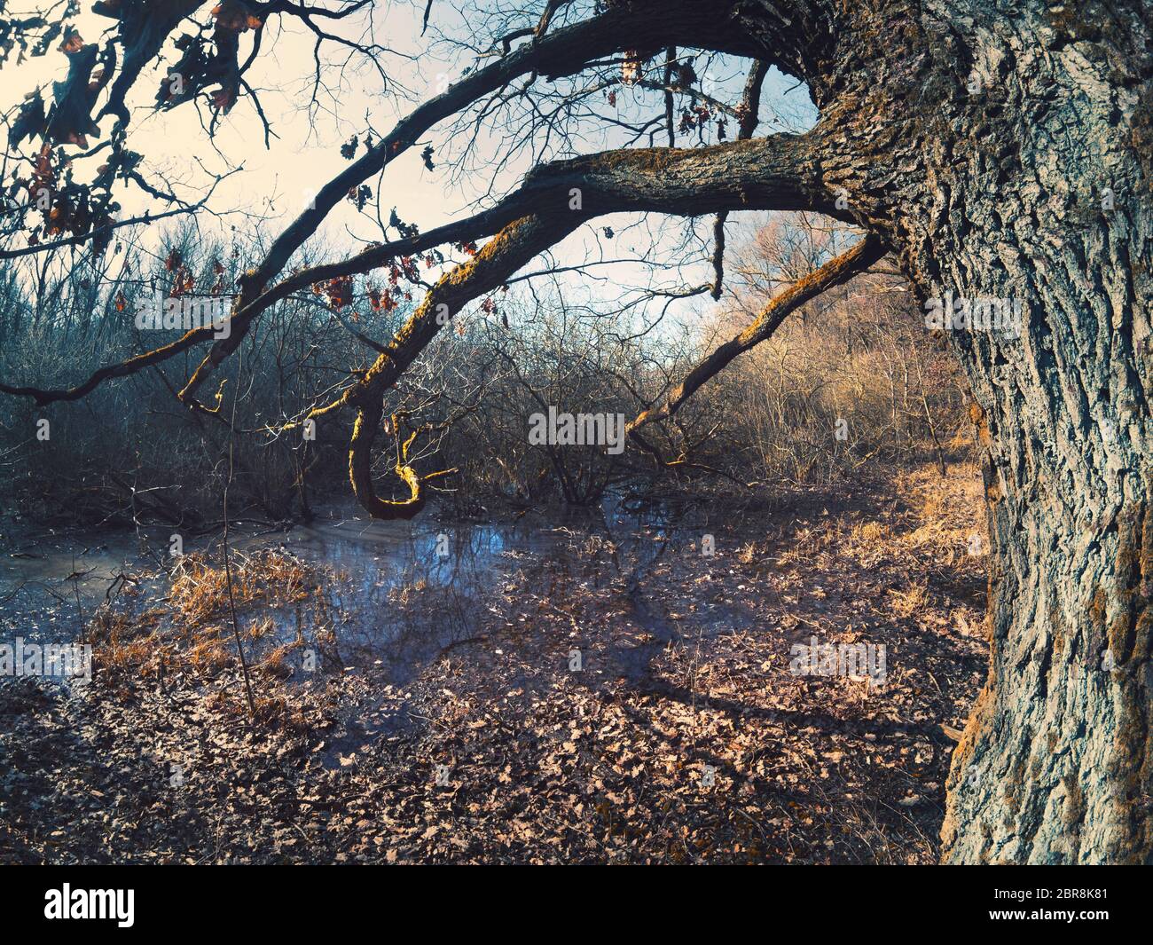 Steigerwald Nature Park Park High Resolution Stock Photography and ...