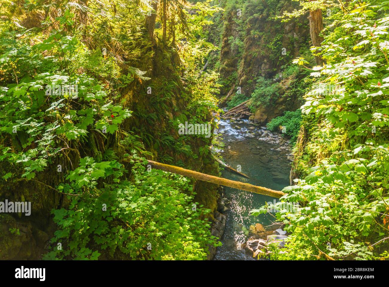 Sol duc hot springs hi-res stock photography and images - Alamy