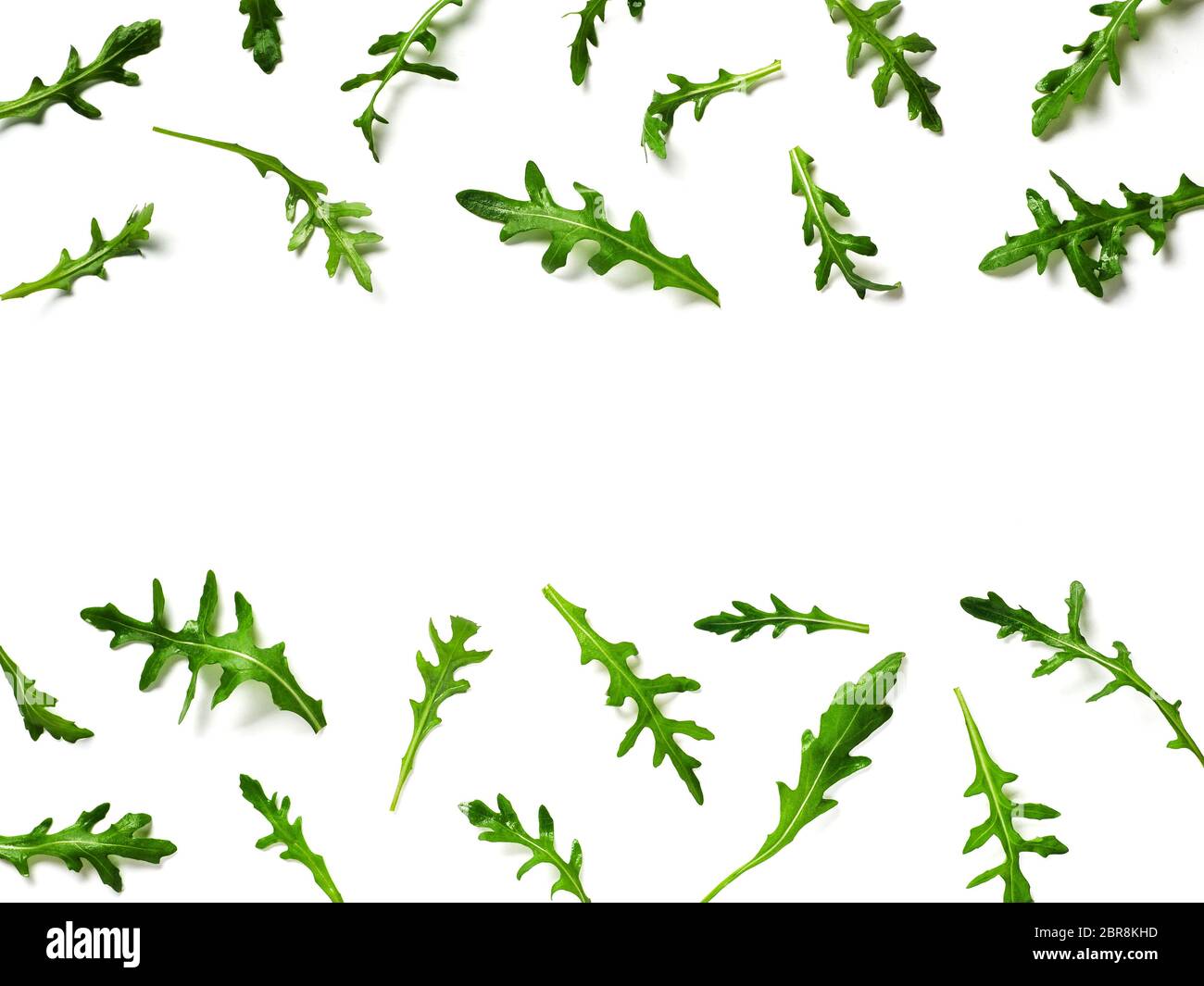 Arugula pattern with copy space in center. Arugula isolated on white ...
