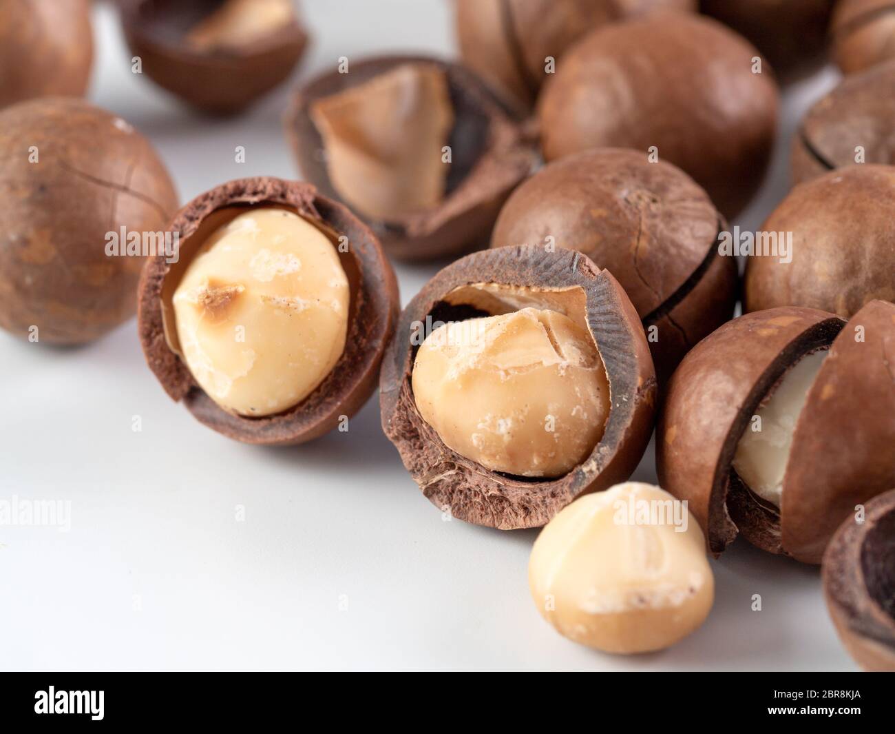 Set of macadamia nuts on white background with copy space. Set of ...
