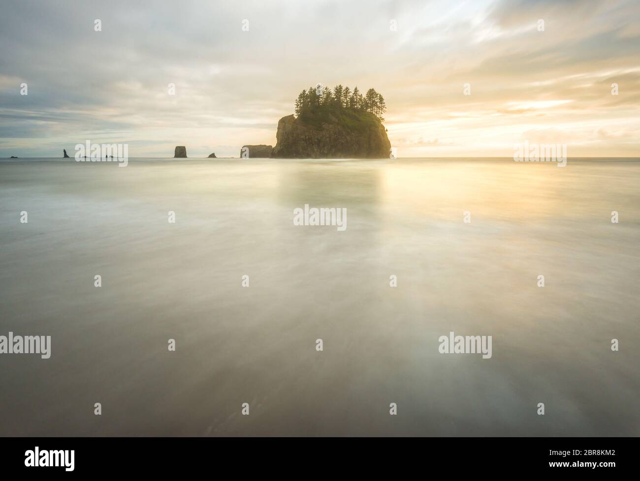 sea stack in sunset time,scenic view of second beach in mt Olympic ...