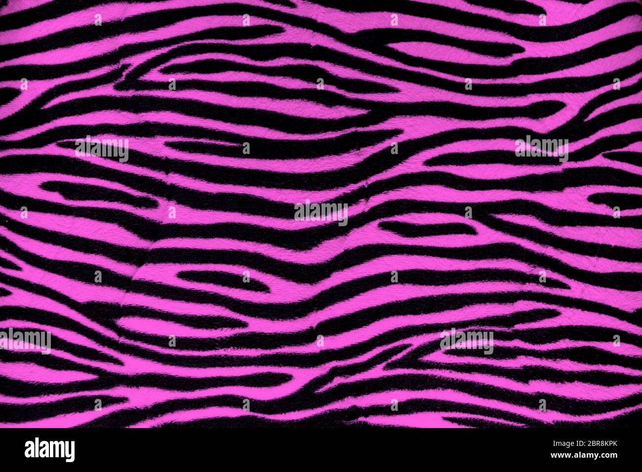 Hot Pink Zebra Stripes