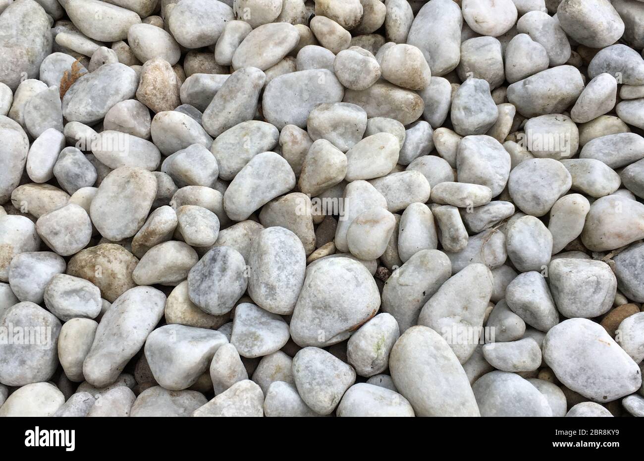 Texture of round gravel stones Stock Photo - Alamy