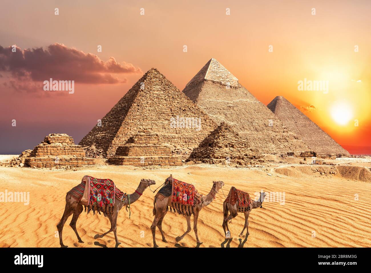 Camel caravan near the Giza Pyramids of Egypt Stock Photo - Alamy
