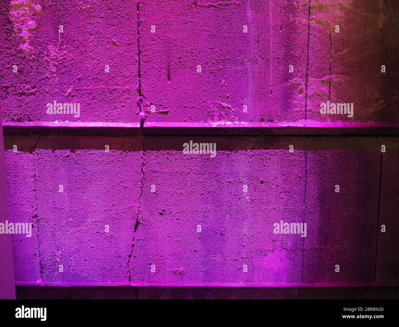 violet light illuminated concrete texture useful as a background Stock ...