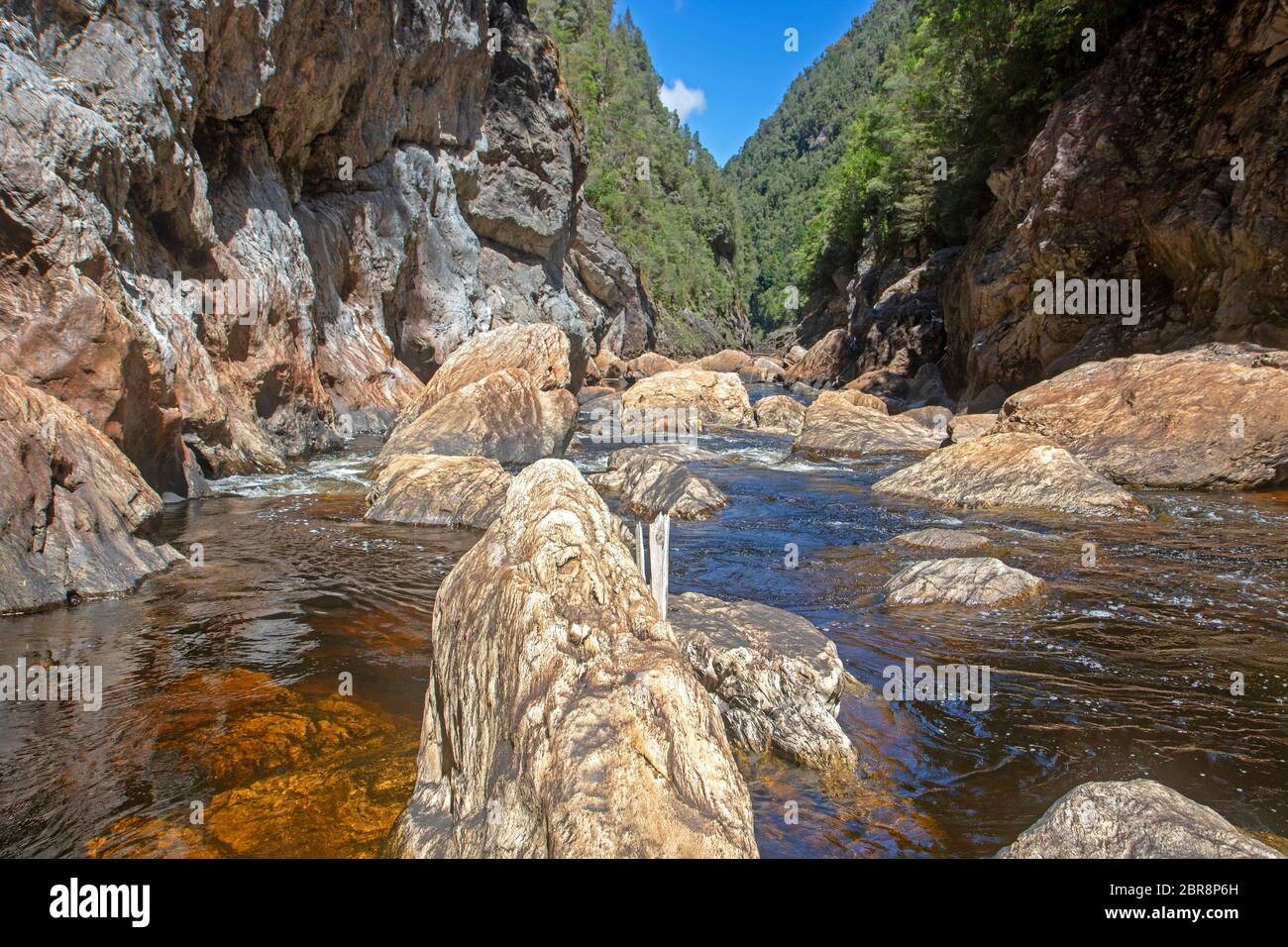 The Great Ravine on the Franklin River Stock Photo - Alamy