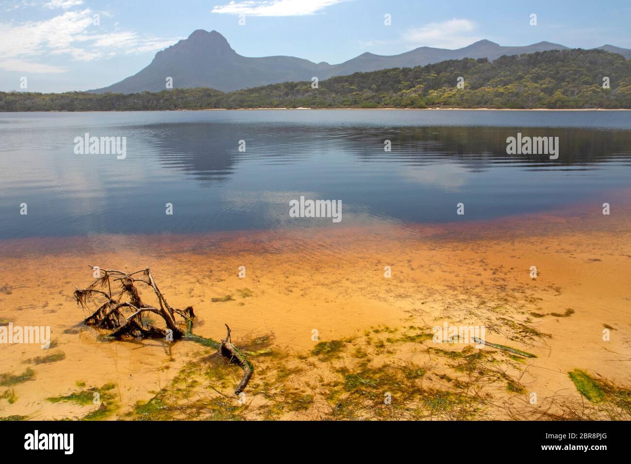 Lagoon river hi-res stock photography and images - Alamy
