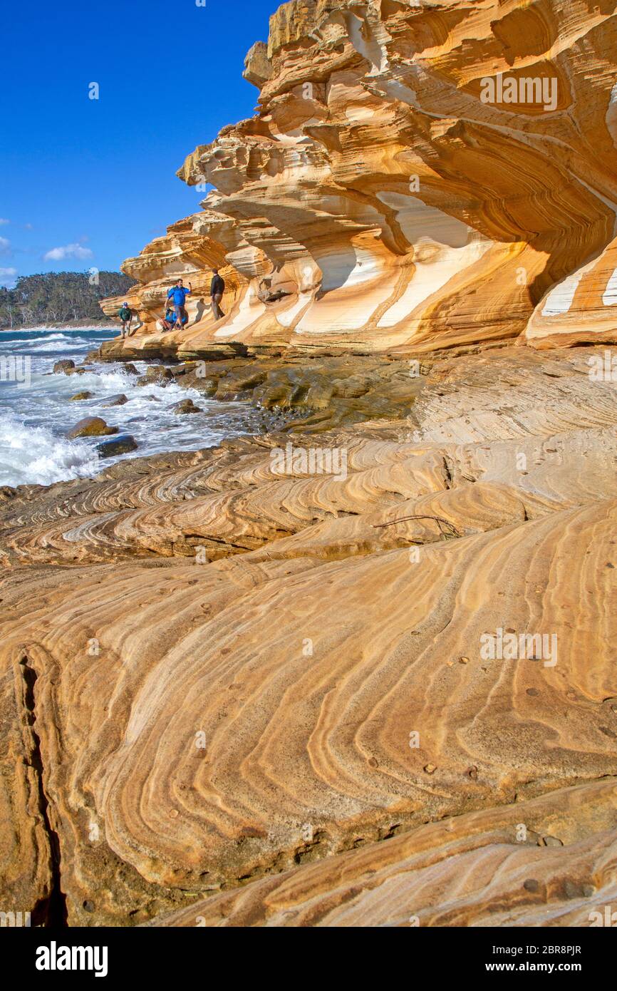 The Painted Cliffs on Maria Island Stock Photo - Alamy