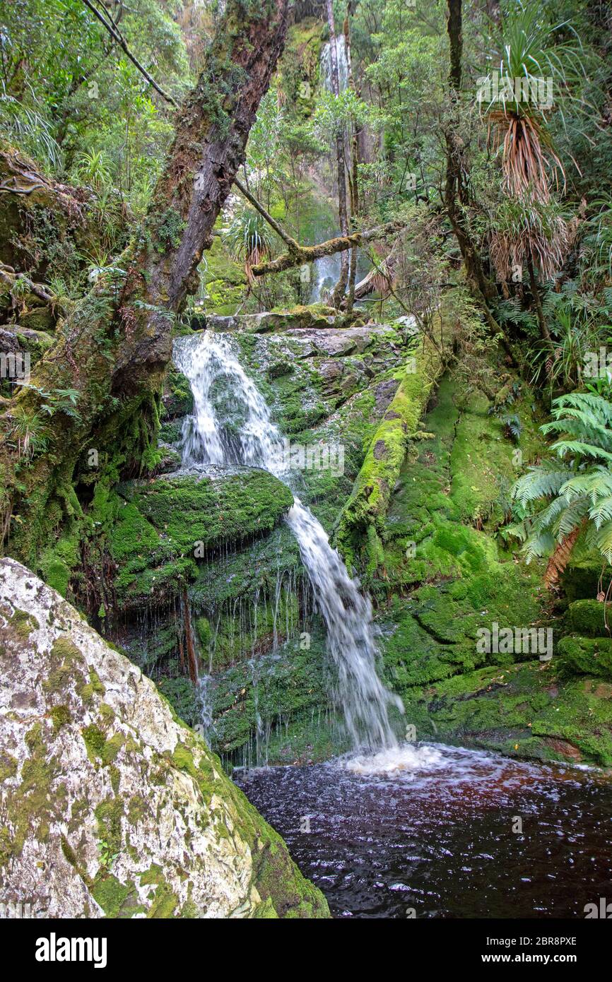 Pig Trough waterfall at Rock Island Bend on the Franklin River Stock ...