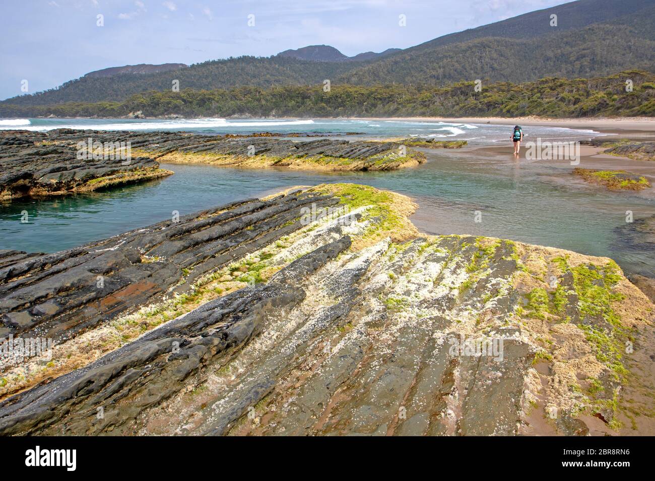 Turua Beach on the south coast of Tasmania Stock Photo - Alamy