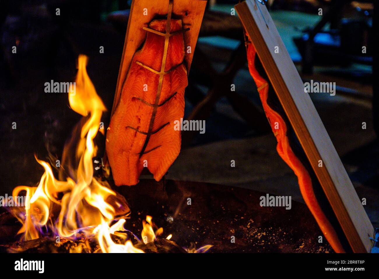 Salmon filet boiled at an open camp fire Stock Photo - Alamy