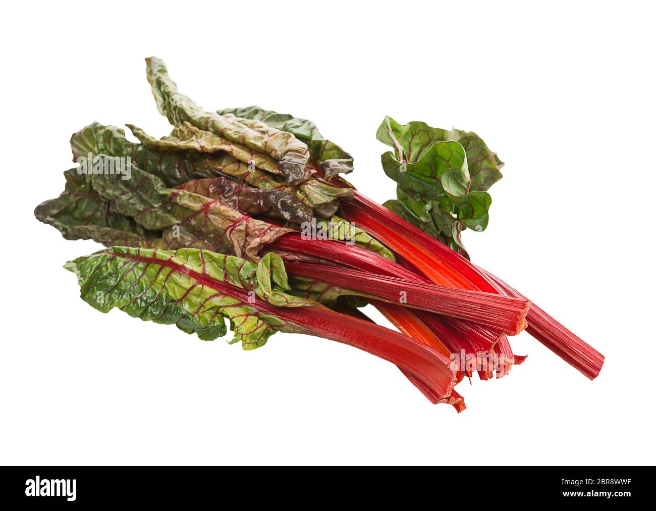 Fresh swiss chard, isolated on white background Stock Photo - Alamy
