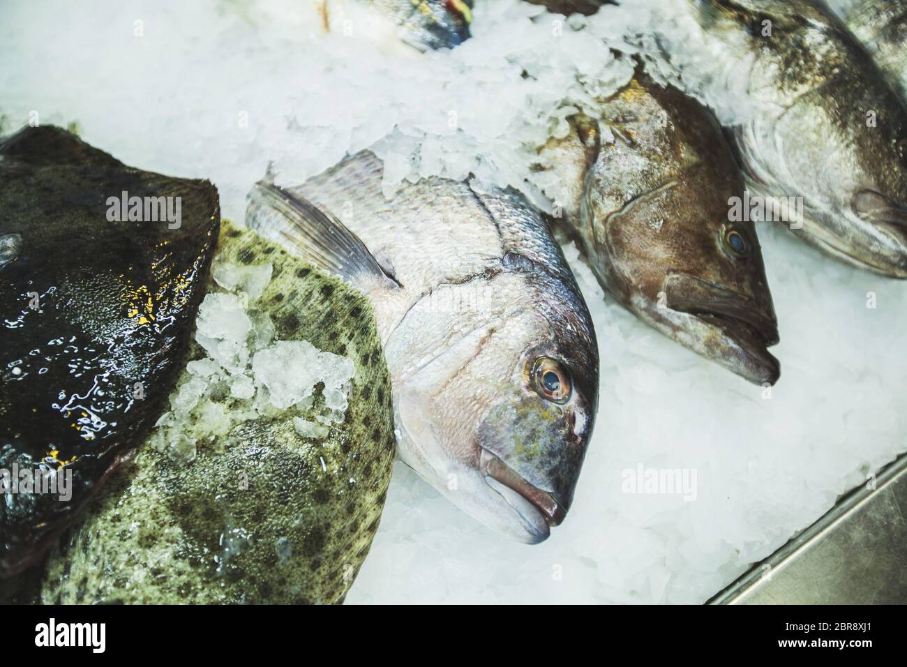 Raw food fresh fish on ice for sale at local market Stock Photo - Alamy