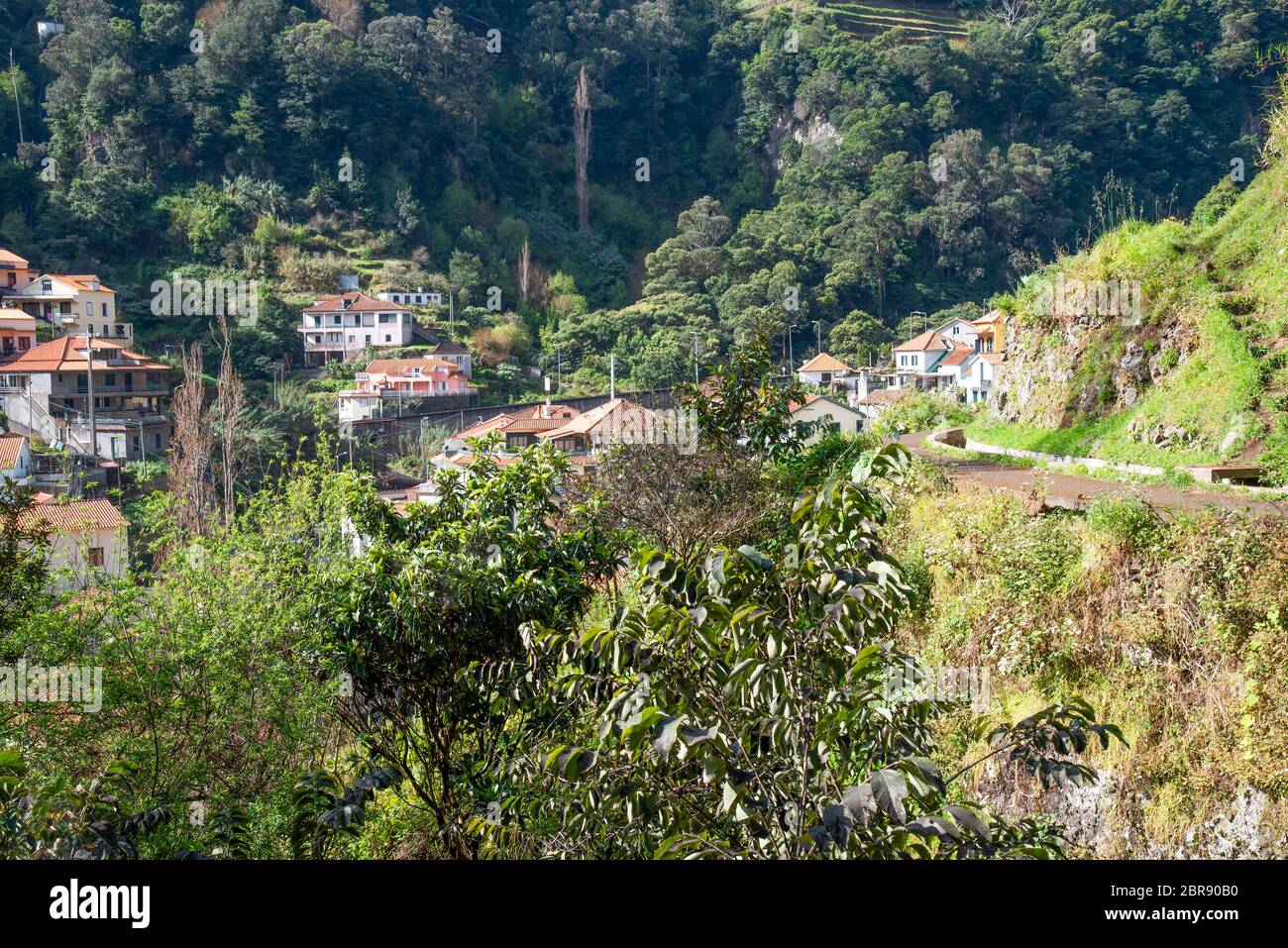 Levada dos Marocos also known as the Mimosa valley near Machico on the ...