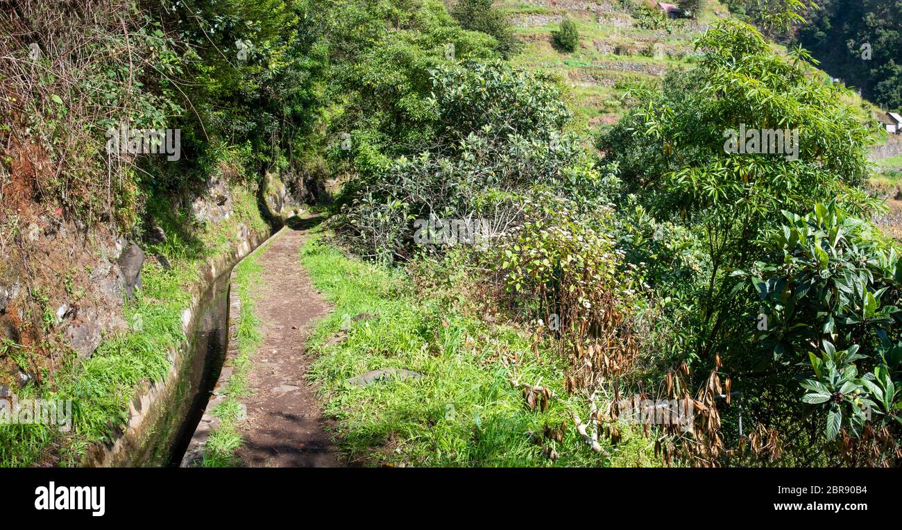 Levada dos Marocos also known as the Mimosa valley near Machico on the ...