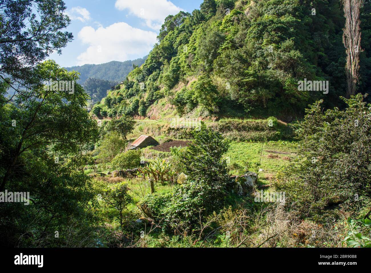 Levada dos Marocos also known as the Mimosa valley near Machico on the ...