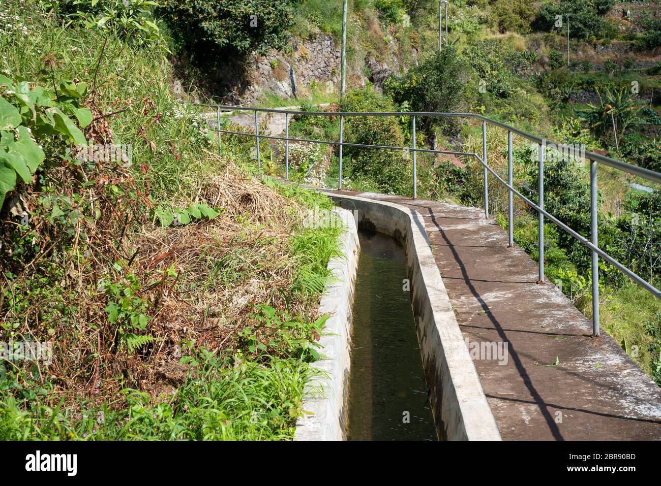 Levada dos Marocos also known as the Mimosa valley near Machico on the ...