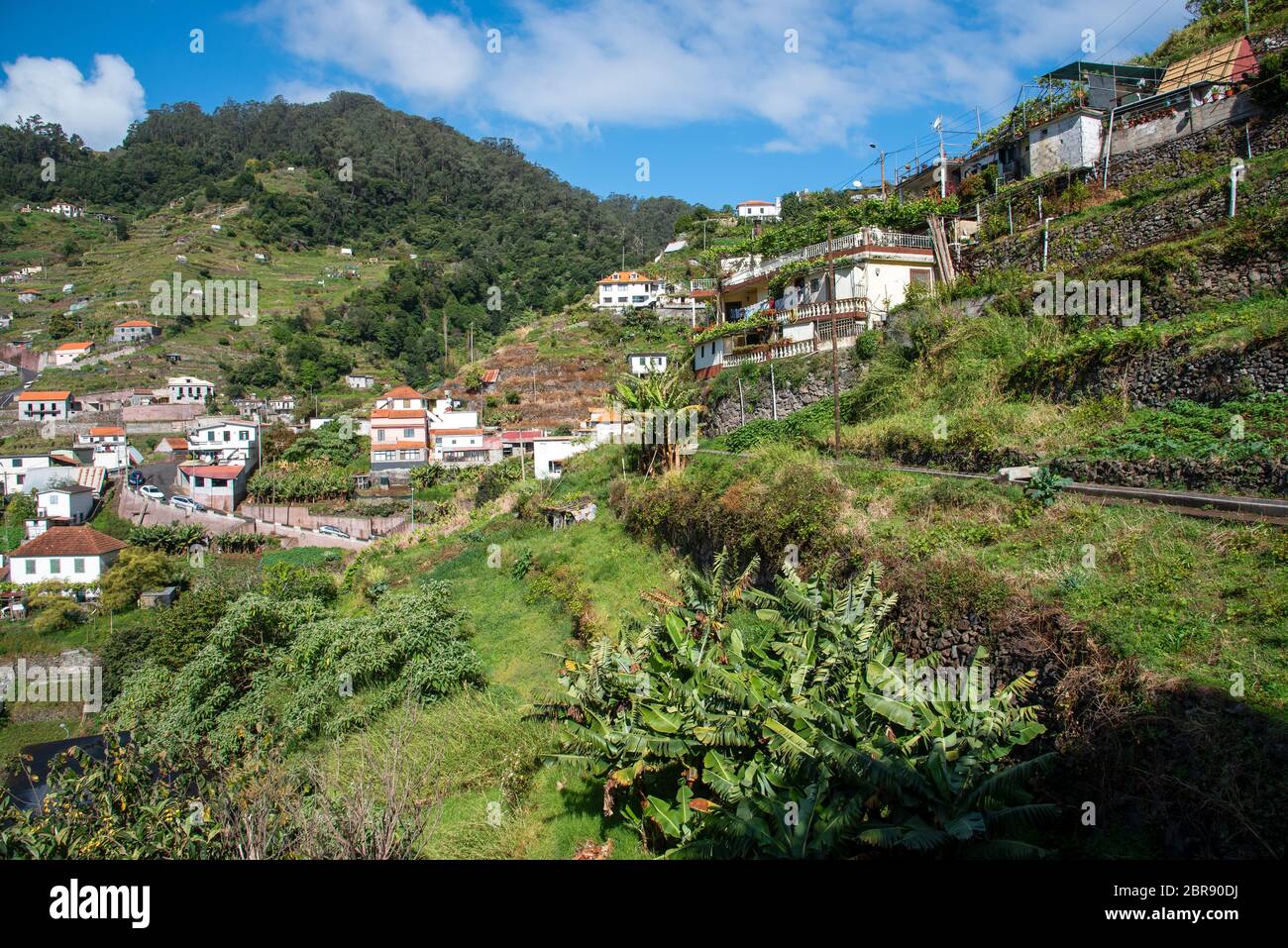 Levada dos Marocos also known as the Mimosa valley near Machico on the ...
