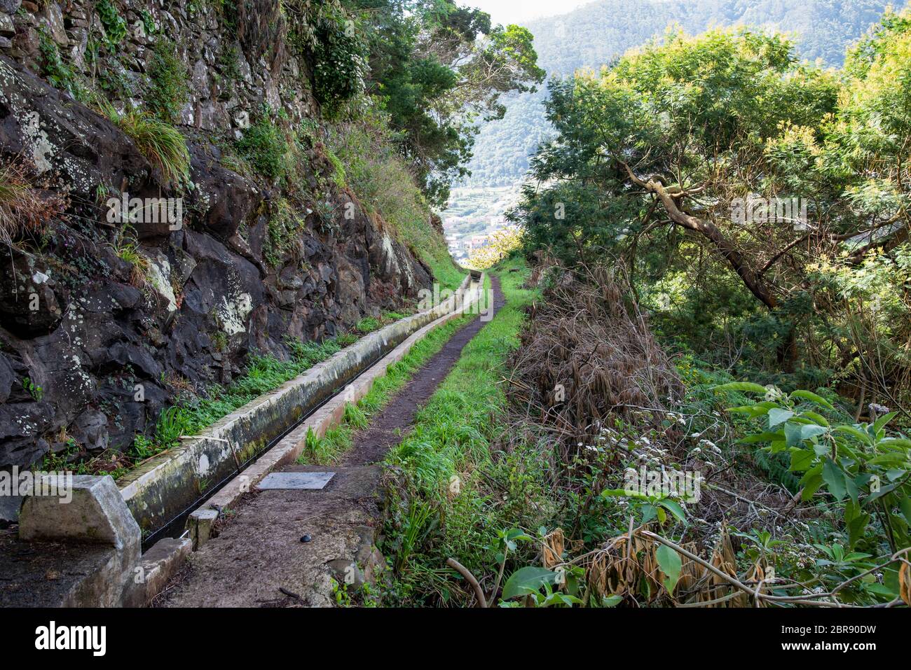 Levada dos Marocos also known as the Mimosa valley near Machico on the ...