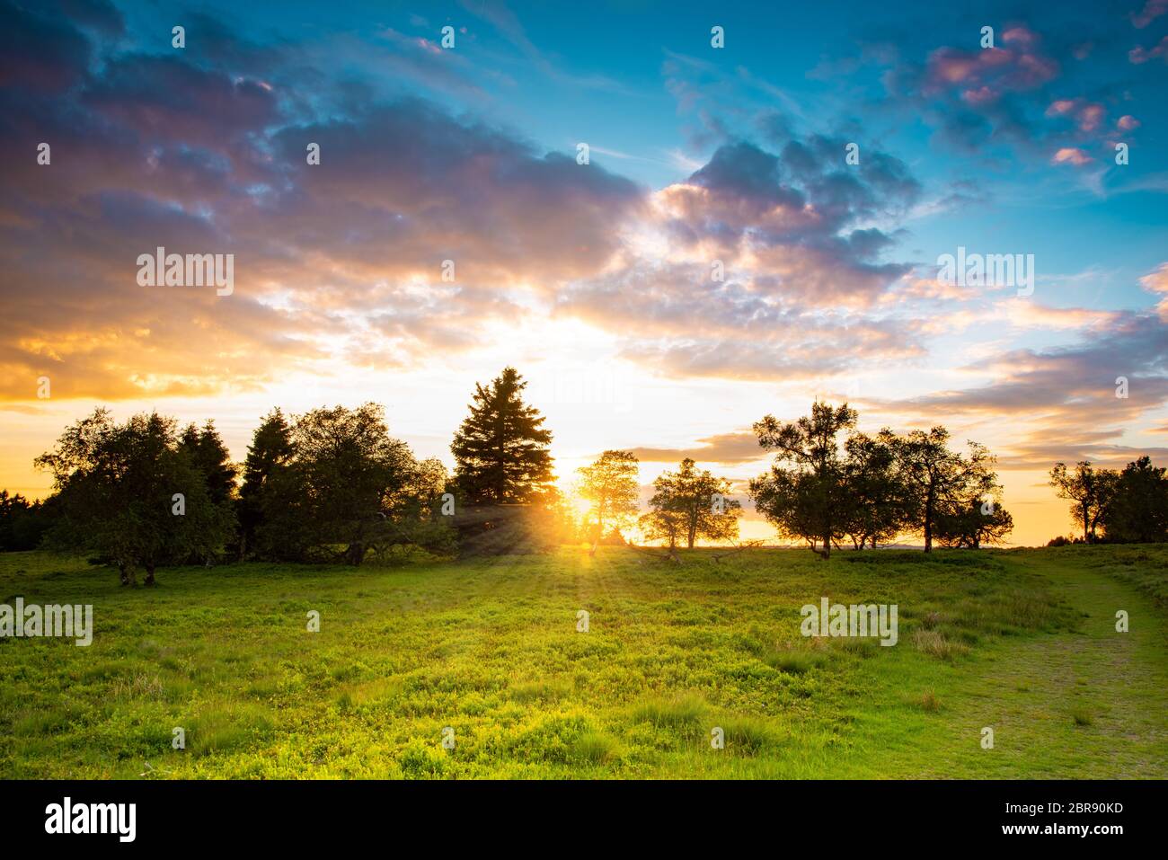 German beauty hi-res stock photography and images - Alamy