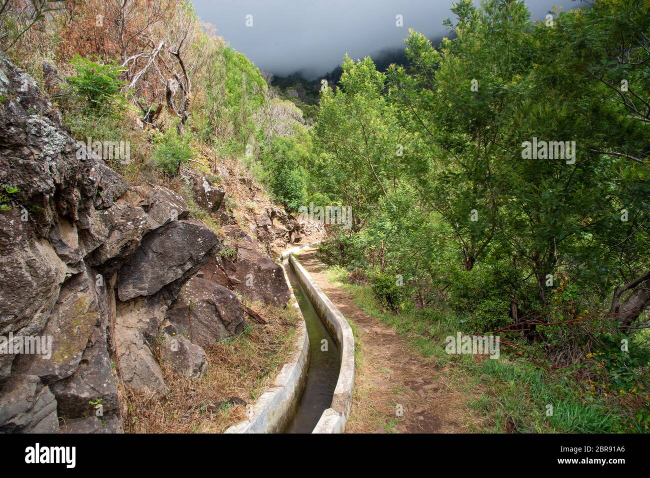 Levada do Canical near Machico on the Island of Madeira. Leavdas are ...