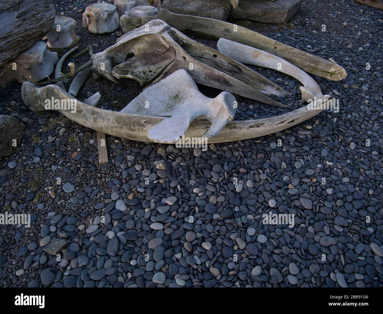 Skull bone bones lava hi-res stock photography and images - Alamy