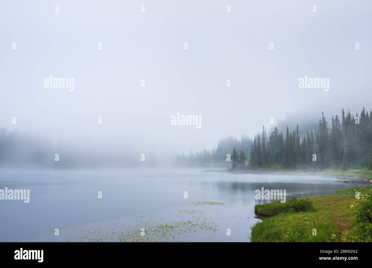 lake in the forest with a lot of fog Stock Photo - Alamy