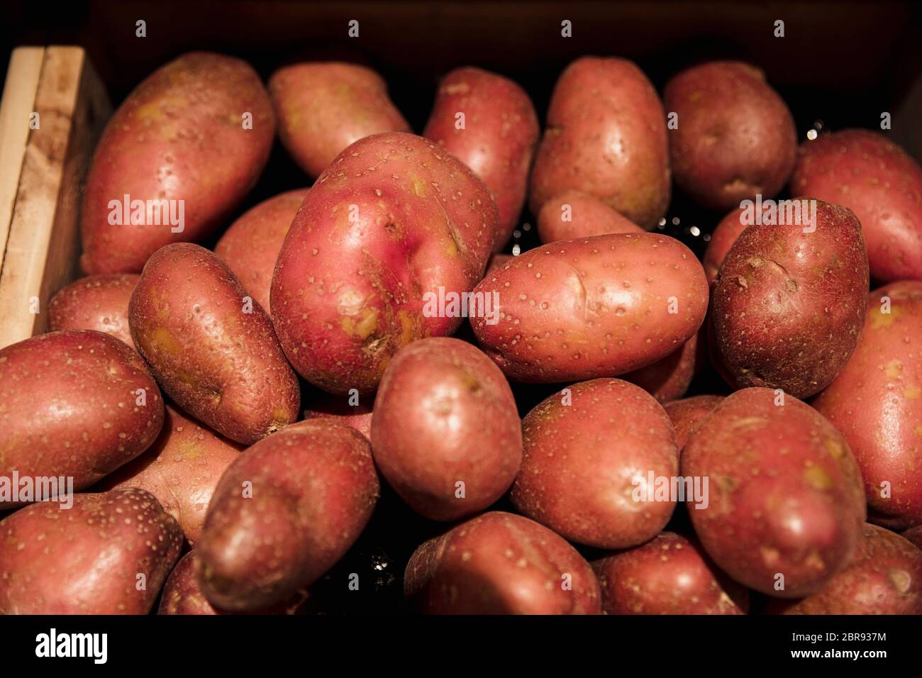 A close-up shot of an abundance of fresh red potatoes on display at a ...