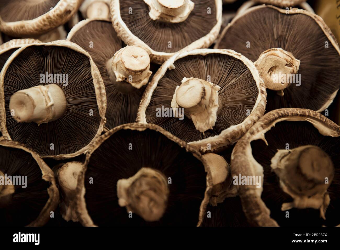 A close-up shot of an abundance of fresh Mushrooms on display at a ...