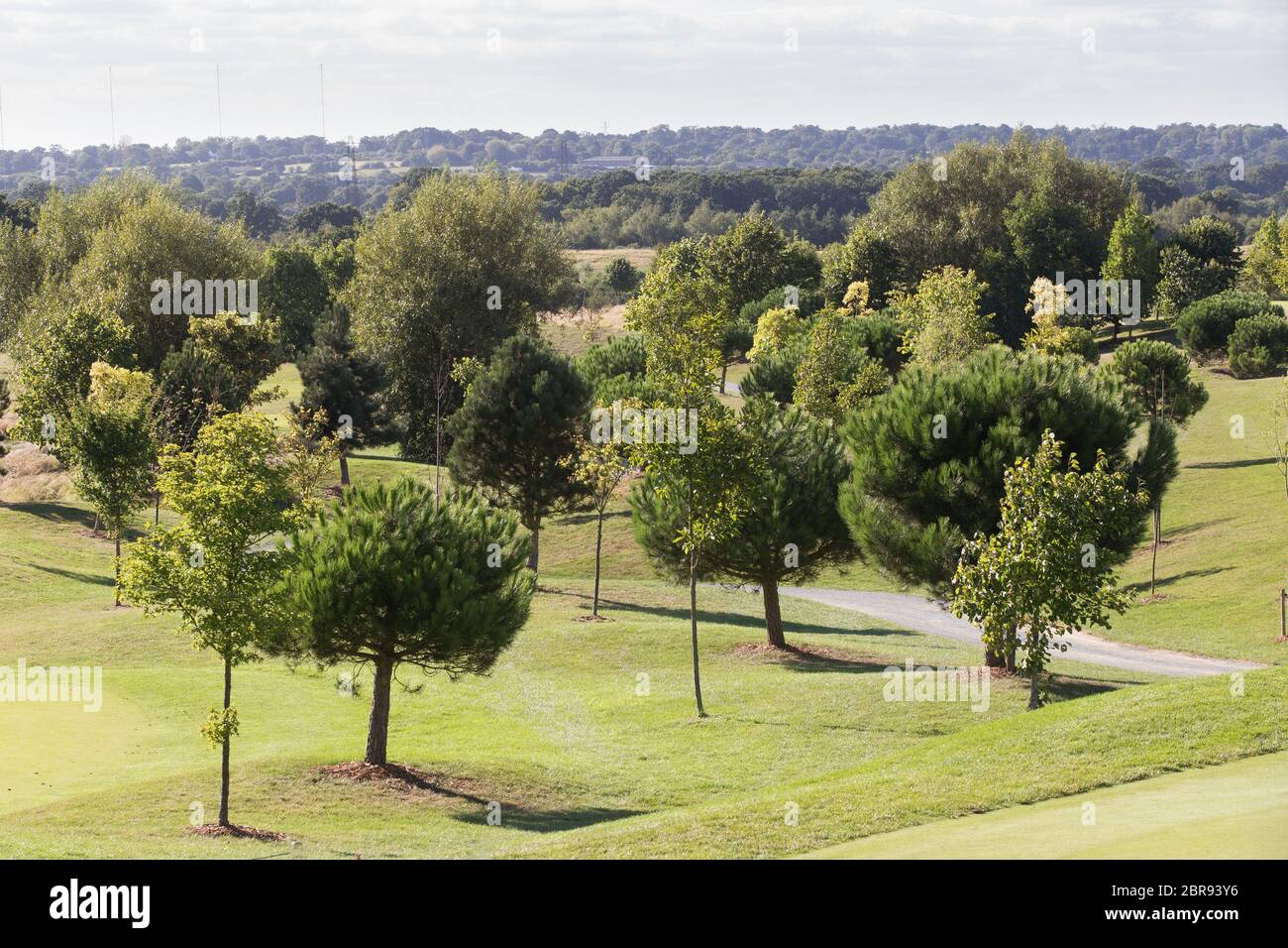 The shire GOLF COURSE DESIGNED BY SEVE BALLESTEROS Stock Photo - Alamy