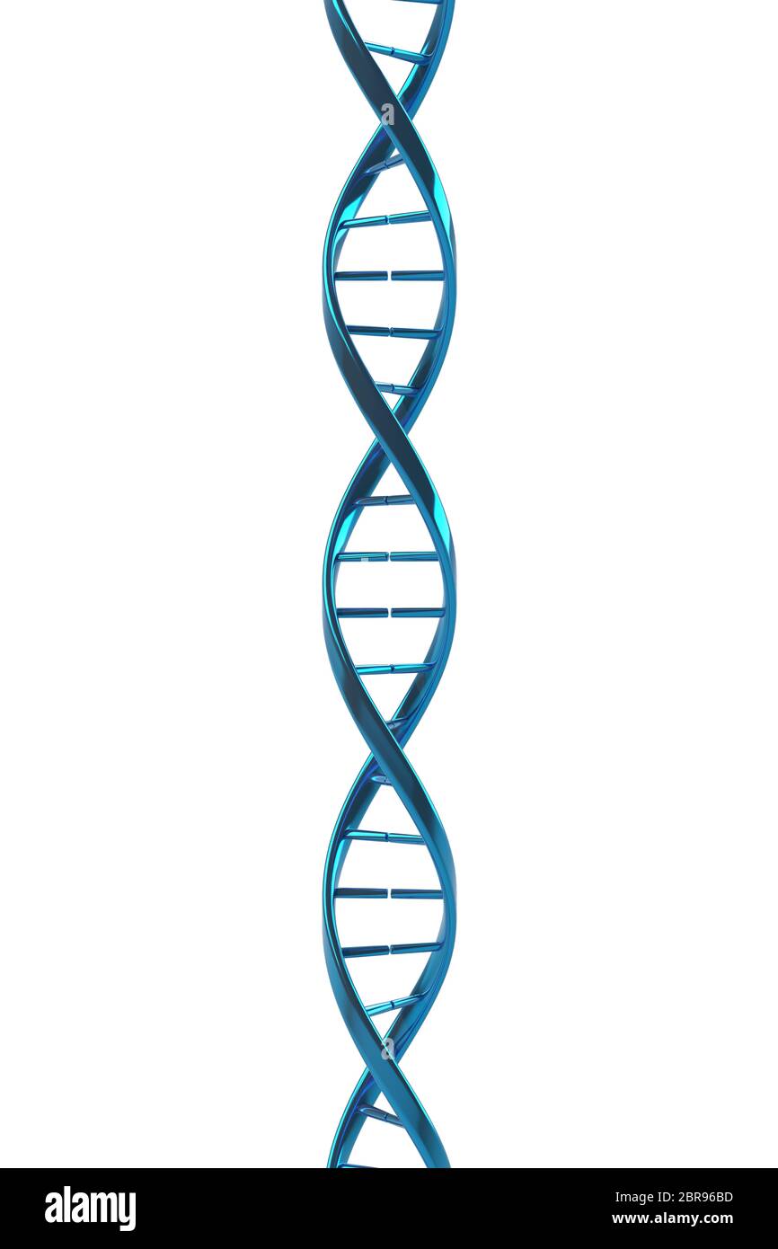 Dna molecule model 3d hi-res stock photography and images - Alamy