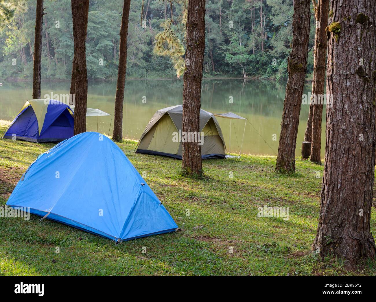 Camping tents in pine tree forest near lake at Pang Oung national park ...