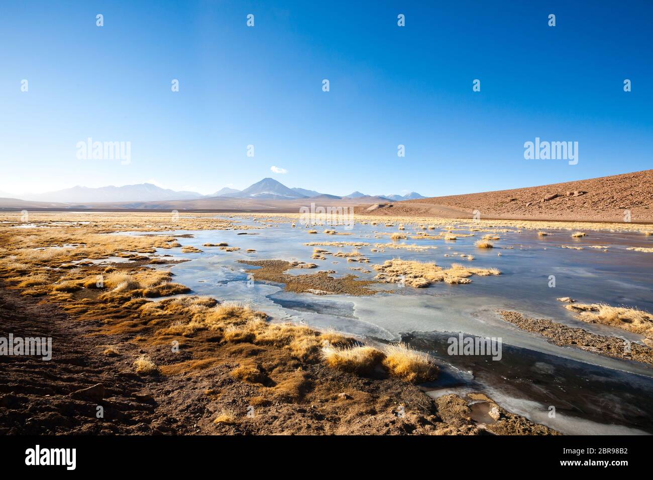 Chilean landscape, lagoon and Licancabur volcano. Chile panorama Stock ...