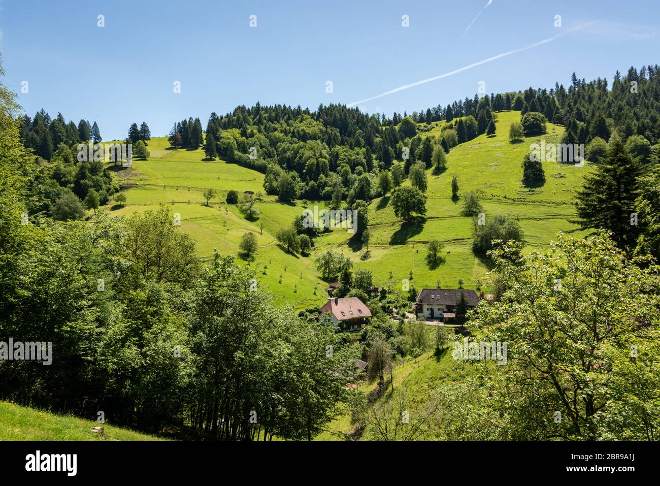 Small valley with farmhouse near Muensteral in the Black Forest Stock ...