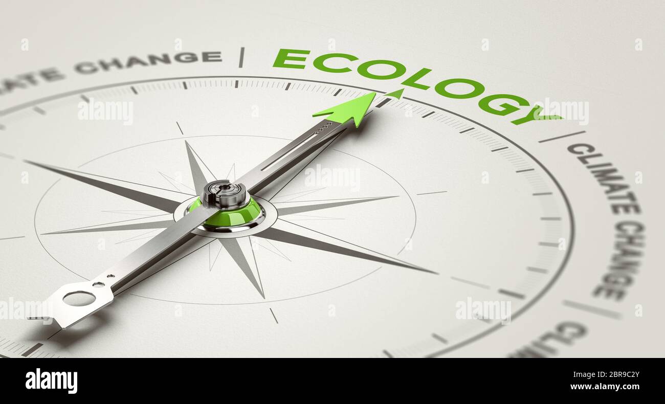 3D illustration of a conceptual compass with needle pointing the word ...