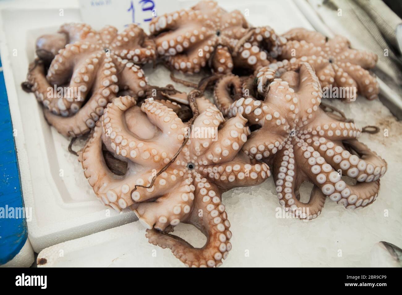 Fresh octopus for sale on local fish market Stock Photo - Alamy
