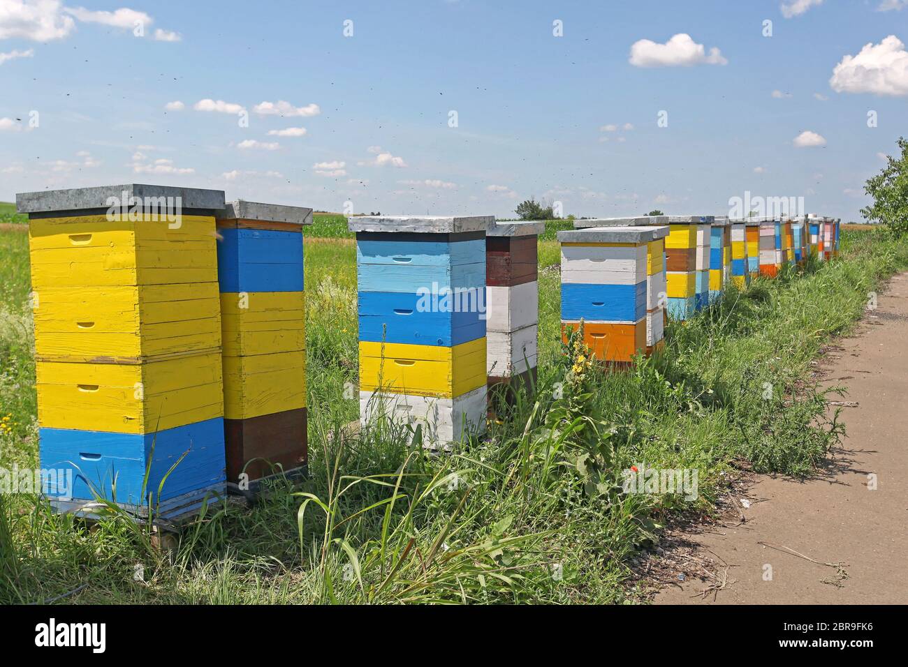 Colorful wooden beehive hi-res stock photography and images - Alamy
