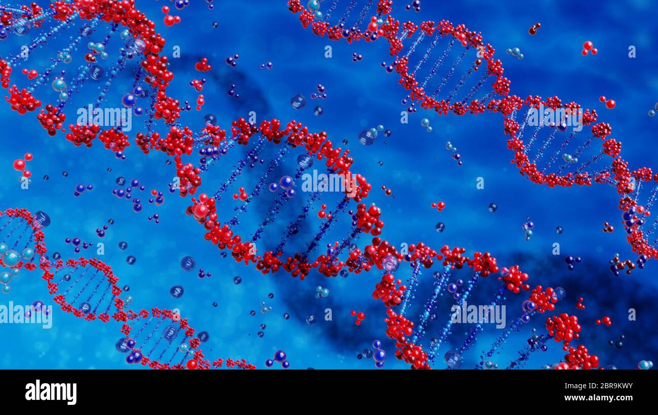 human dna chain. Genome structure. helix molecule in the body Stock ...