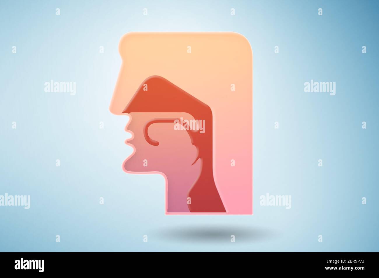 Illustration of the human head with various organs Stock Photo - Alamy