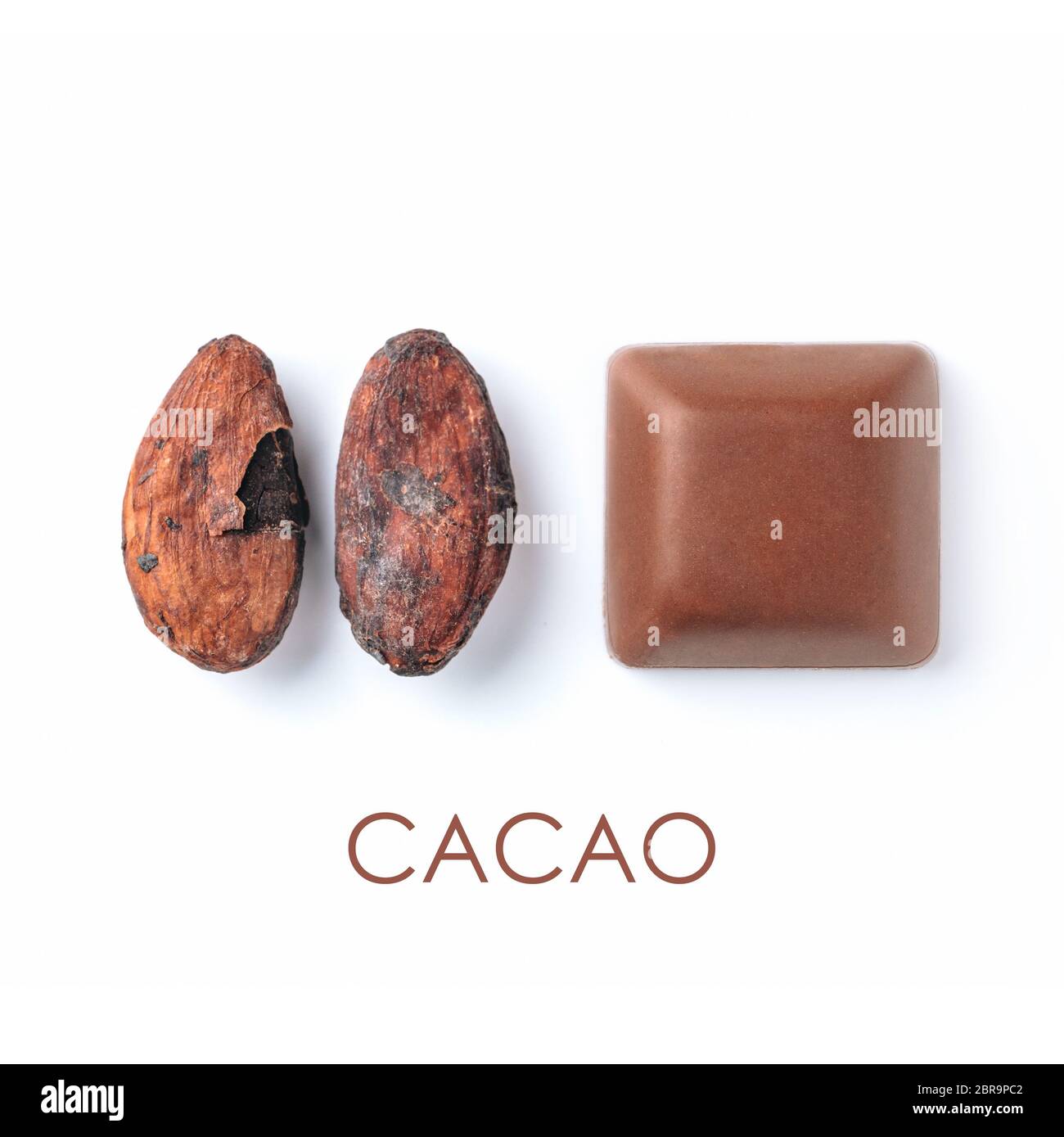 Raw cacao bean and chocolate piece and word CACAO on white background ...