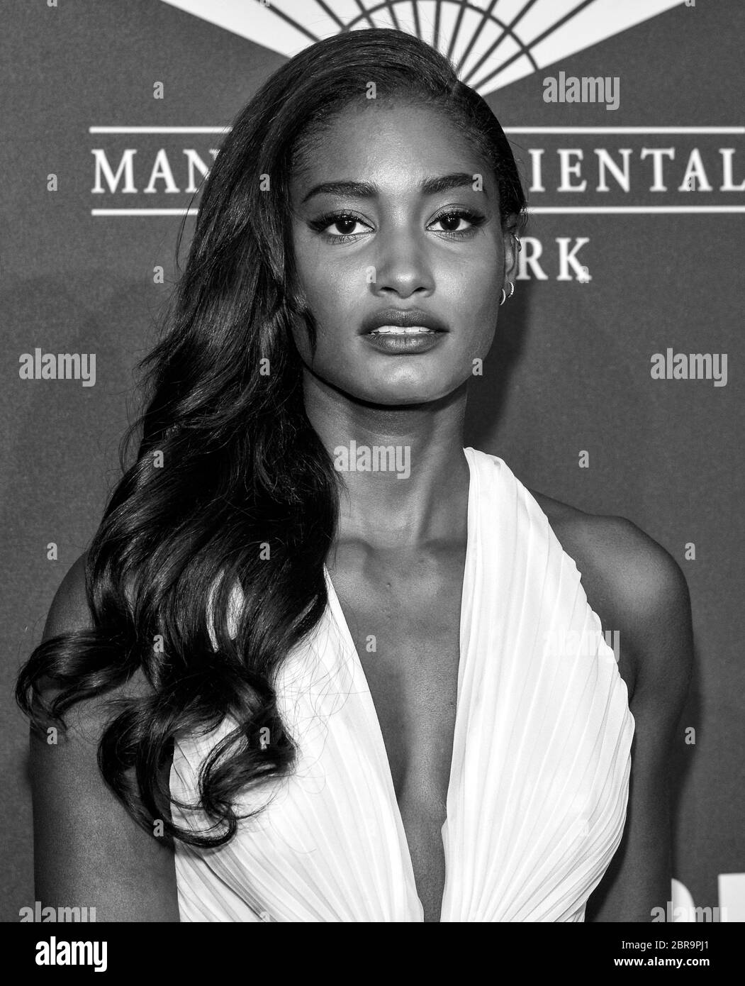 New York, NY - Feb 05, 2020: Chantel Jeffries attends the 2020 amfAR ...