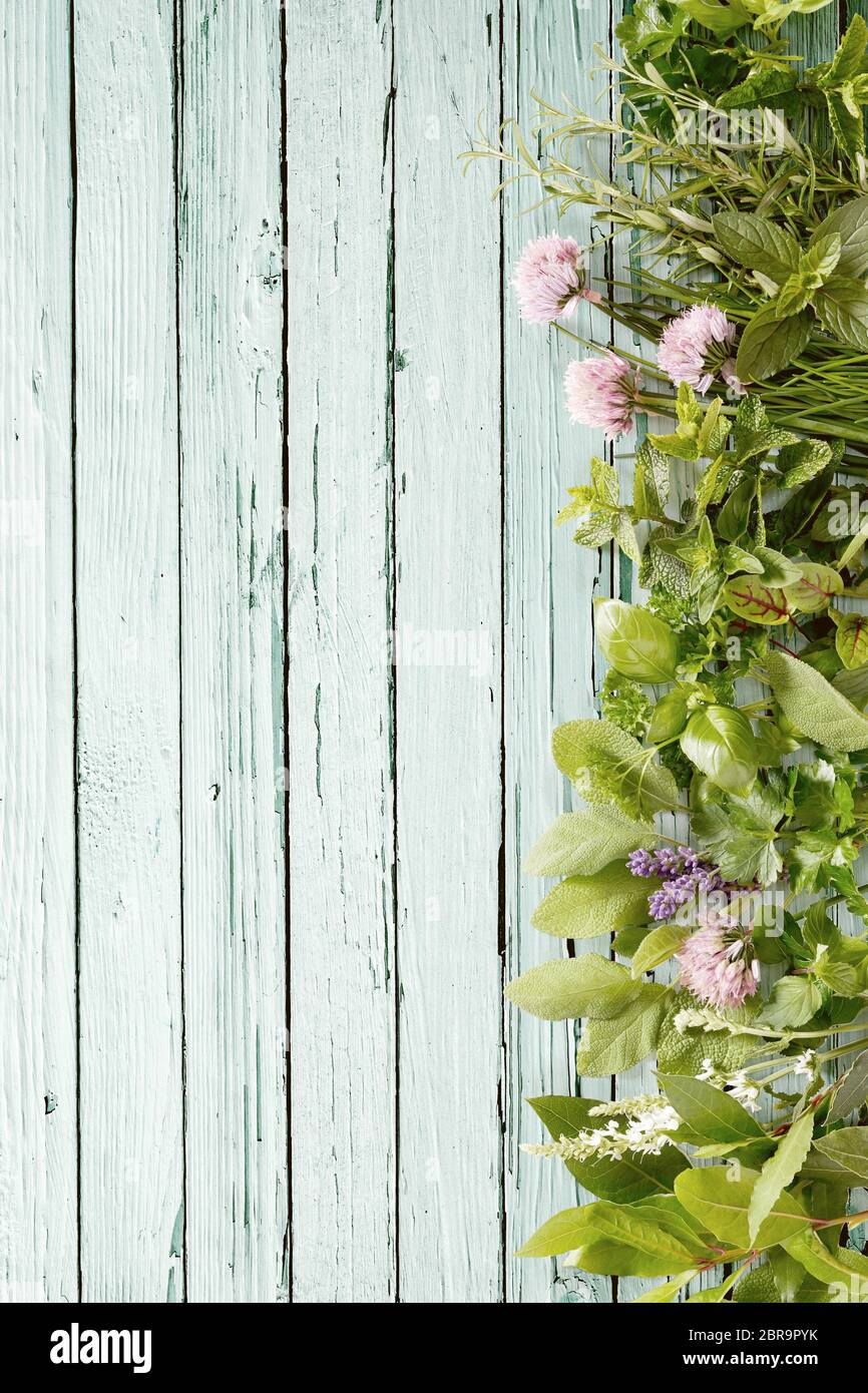 Vertical side border of assorted fresh culinary herbs and edible ...